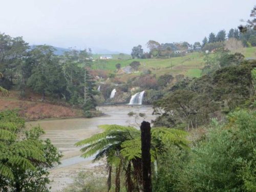 Jun 21: Raglan Ramblers to walk in Okete Falls area – Raglan 23