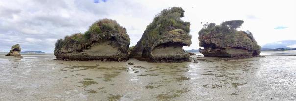 Feb 7: Raglan Ramblers return to Aotea Harbour – Raglan 23