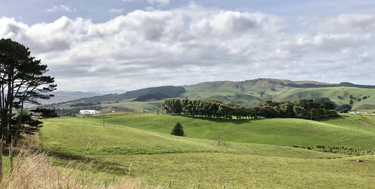 CANCELLED- Mar 25: Ramblers to walk at Te Mata – Raglan 23