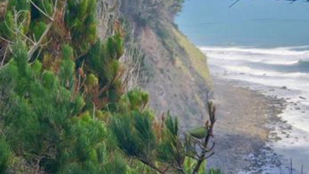 Jan 5: Ramblers head south of Whale Bay – Raglan 23