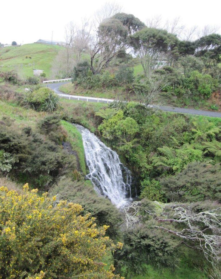 Sep 21: Raglan Ramblers to cross harbour for Te Akau Wharf walk – Raglan 23