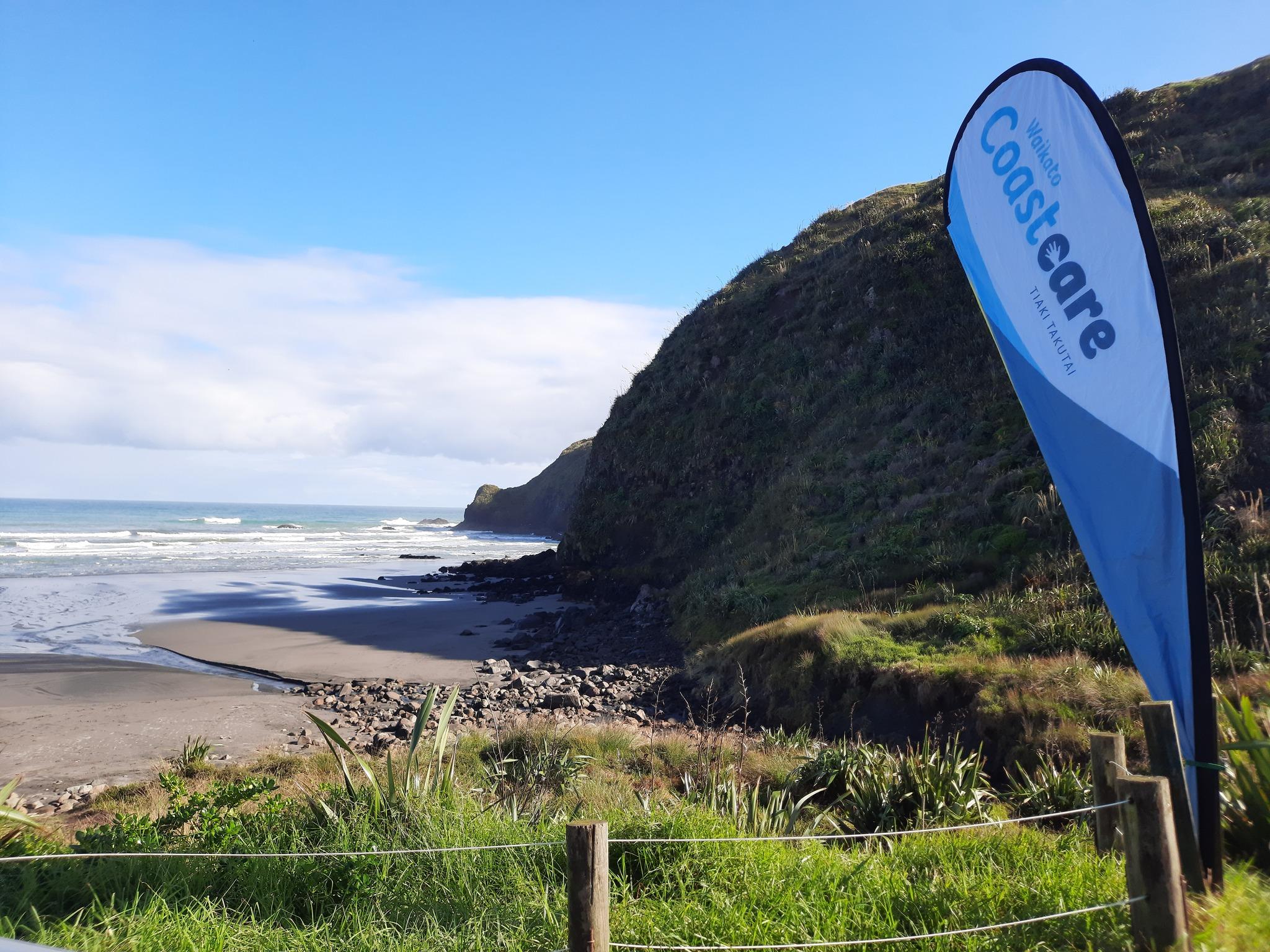 18,000 dune and wetland plants for west coast beaches – Raglan 23