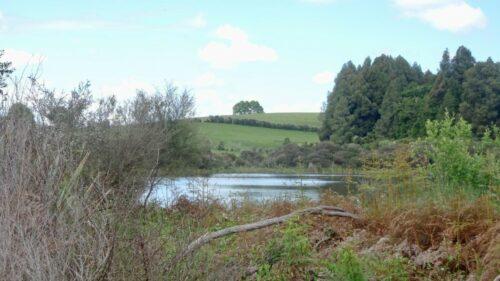 Raglan 23 \’The most useful site for planning a visit to RAGLAN, NZ\’