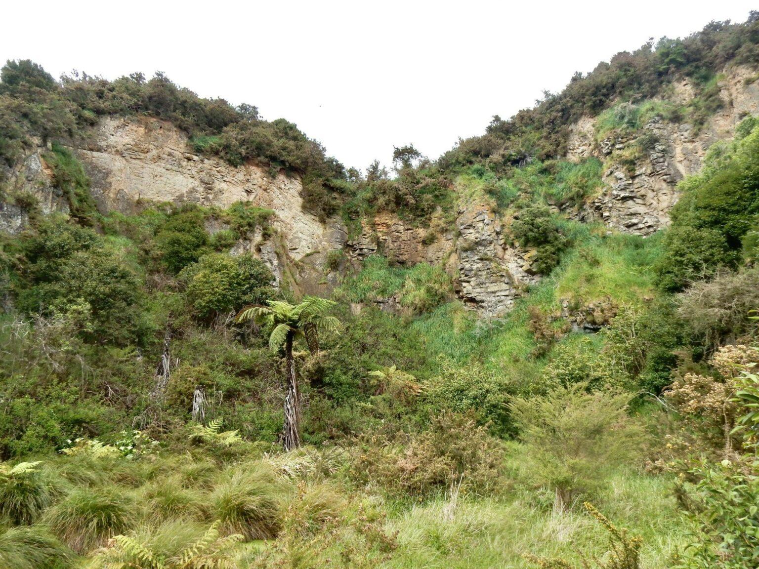 Whāingaroa A Century Ago – 1924 (Part 1) – Raglan 23